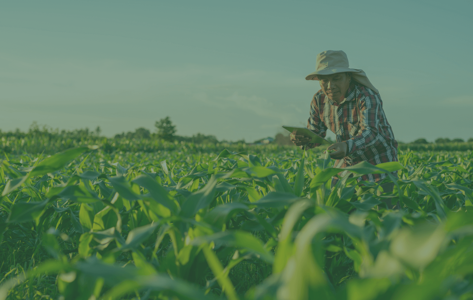 Indera Agri - Data Driven Farming